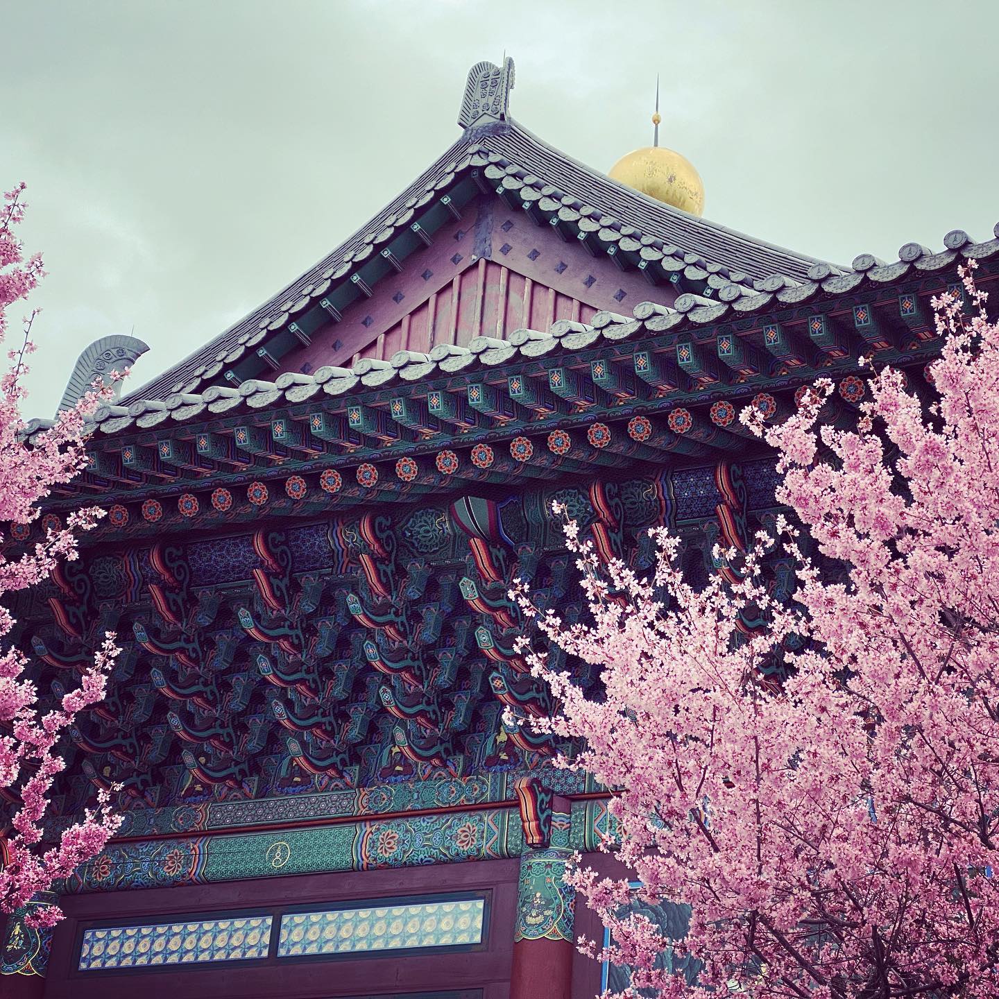 Instagram | Nathan Peck