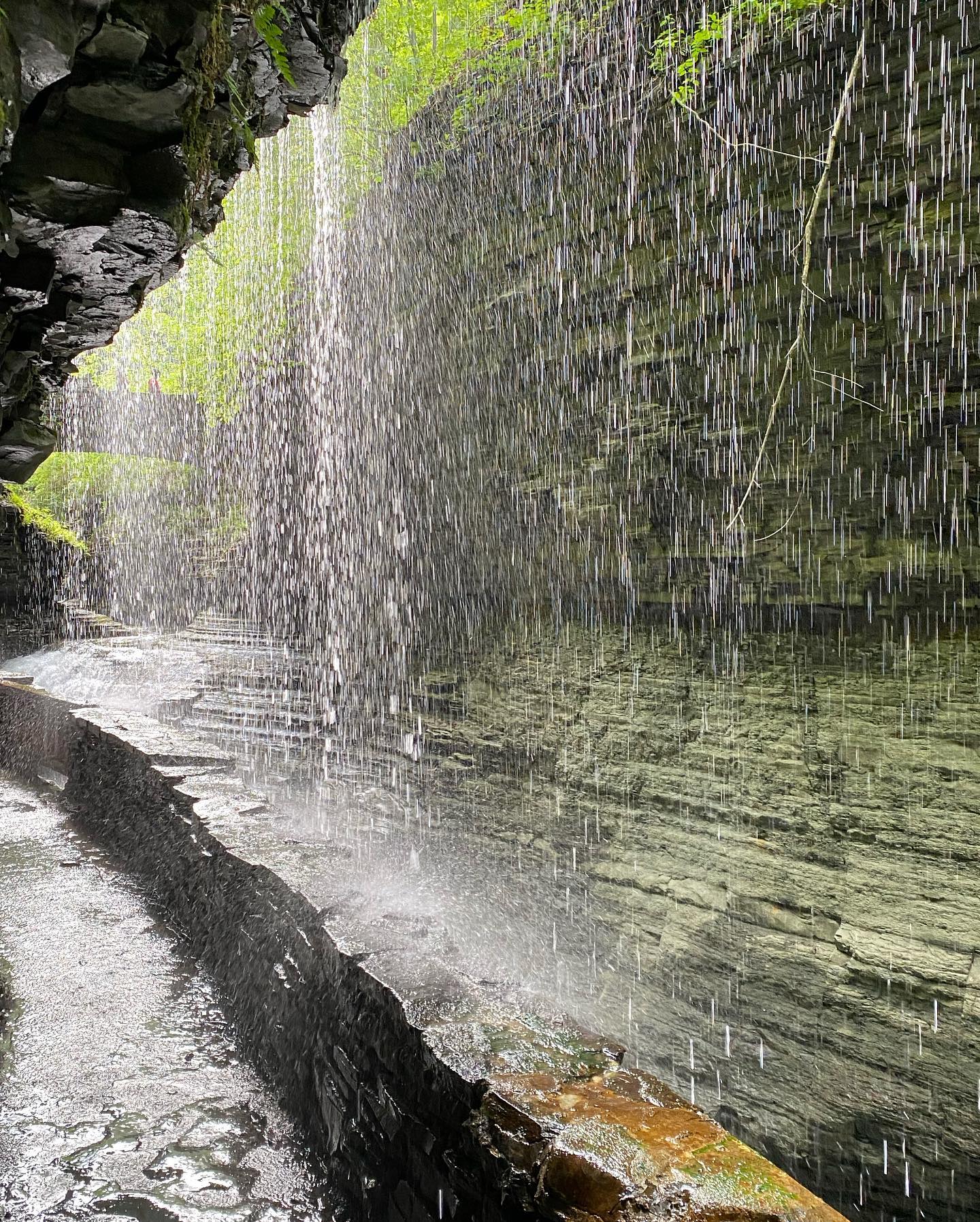 Instagram | Nathan Peck