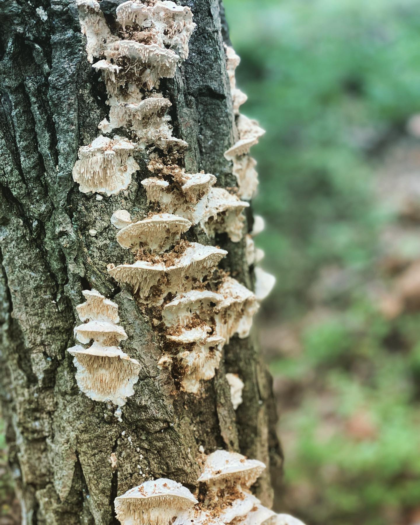 Instagram | Nathan Peck